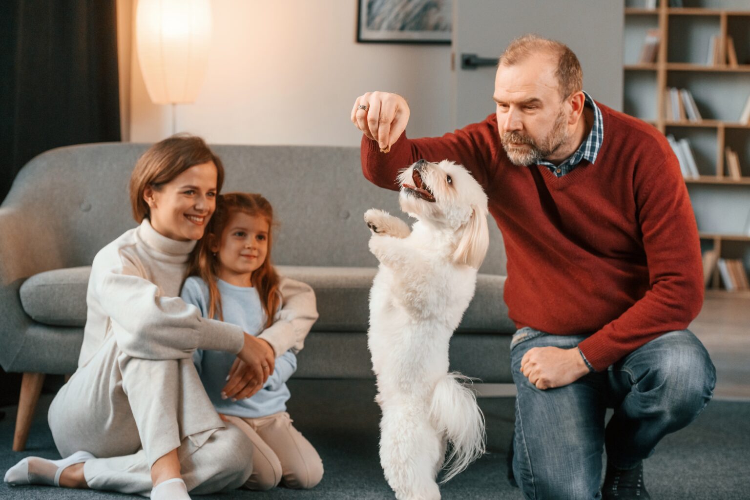 16 Fun & Easy Dog Tricks – Teach Your Pup New Skills Today